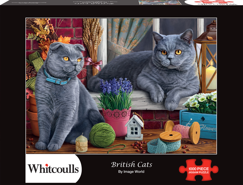Boxed - Whitcoulls